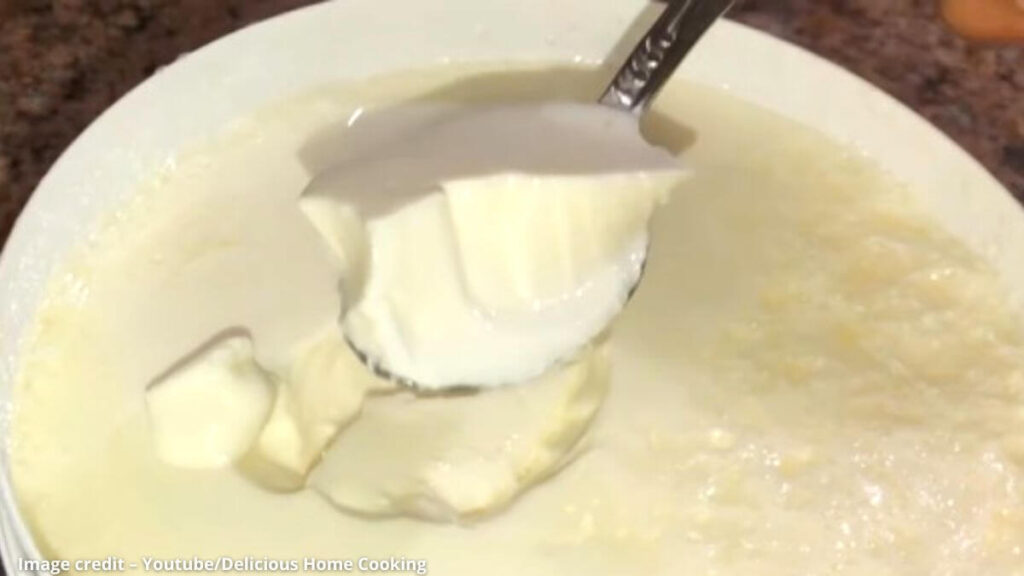 દહીં બનાવવાની રીત | dahi banavani rit | dahi recipe in gujarati